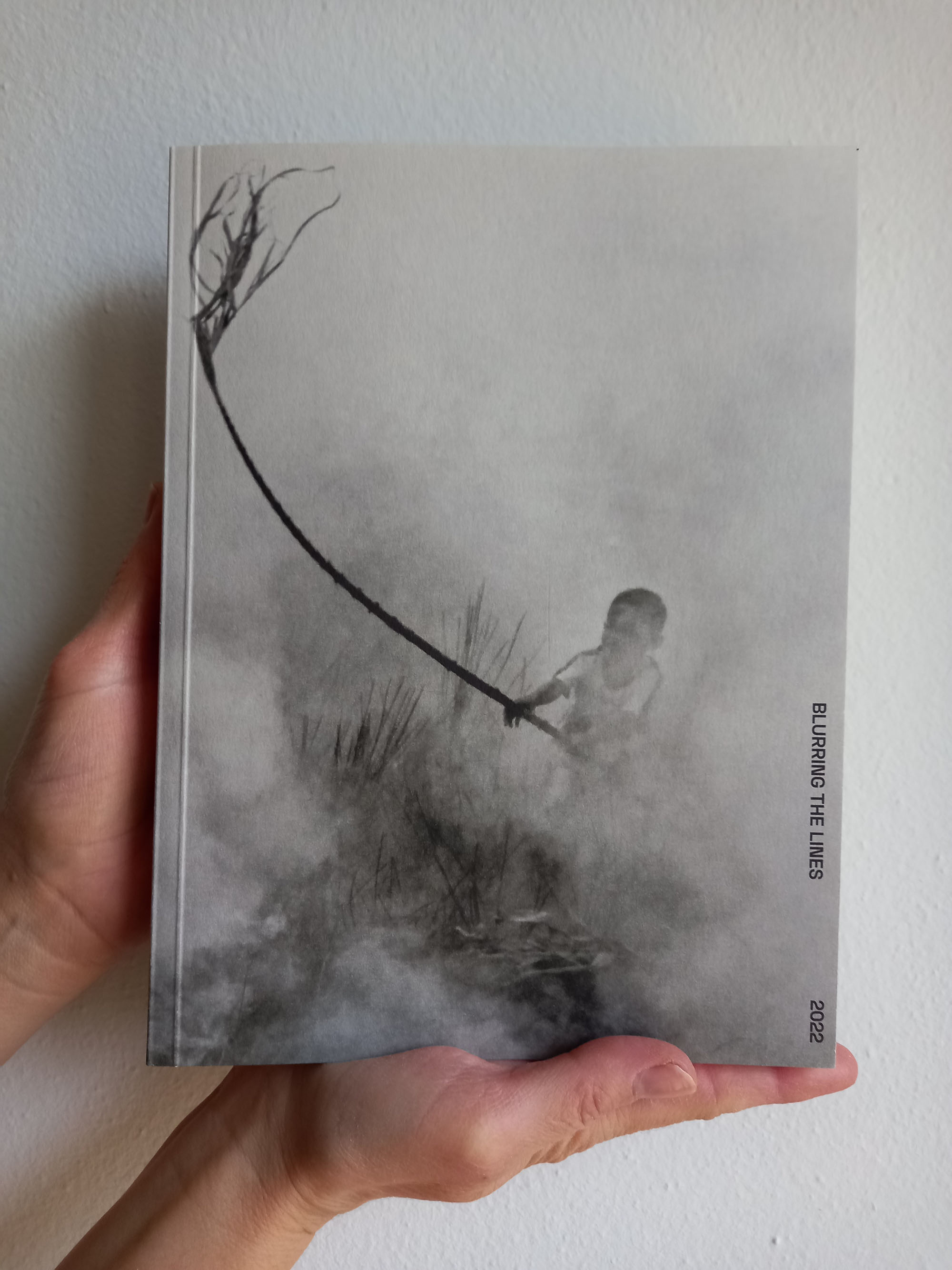 Steve Bisson — BLURRING THE LINES