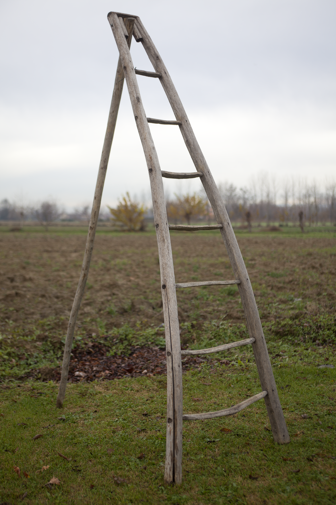 Steve Bisson — ZERO FOTOGRAFIA