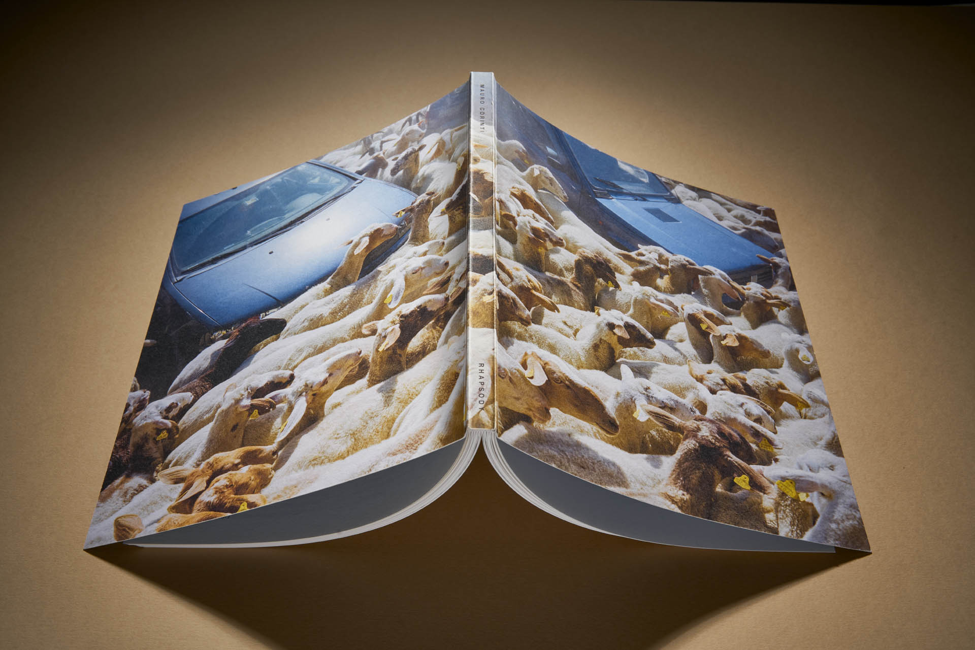 Steve Bisson — RHAPSODY by Mauro Corinti