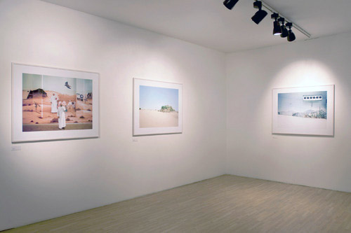 Steve Bisson — NATURAE